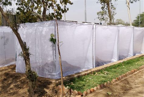 contemporary climatic trends might predict ectothermic insects