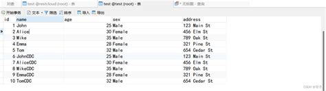 初探etlcloud cdc零代码实现mysql数据实时同步 etlcloud 源码 csdn博客