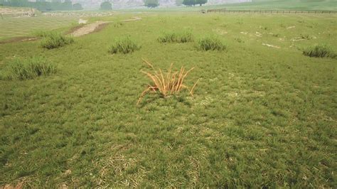Procedural Growing Plants 427 Game Assets Free
