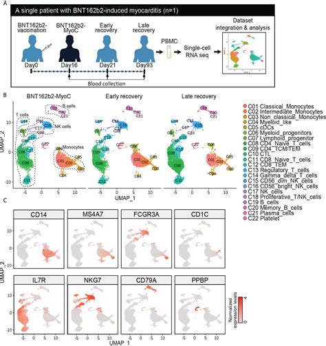 single cell rna sequencing ngs analysis