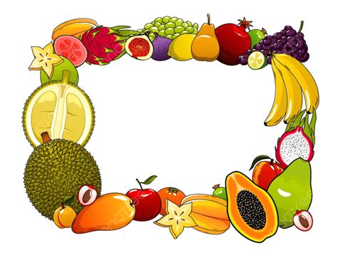 Gambar Buah Buahan Eksotis Png Vektor Psd Dan Clipart Dengan