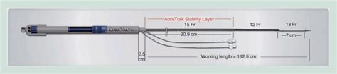 The Corevalve® Delivery System Is An Over The Wire Catheter And Download Scientific Diagram