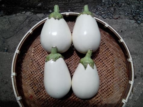 訳ありとろーり旨ナス 約1 4キロ4個セット驚きの柔らかさ 茨城県産のその他ナス食べチョク産地直送 産直 お取り寄せ通販