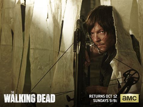 Daryl Dixon The Walking Dead Wallpaper 37573078 Fanpop