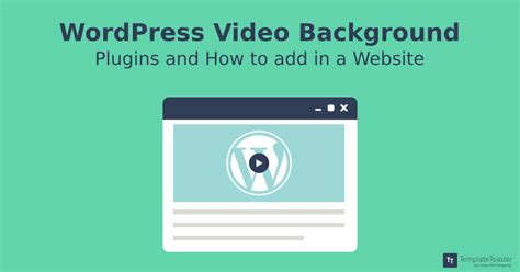 Best WordPress Video Background Plugins How To Add In A Website TemplateToaster Blog