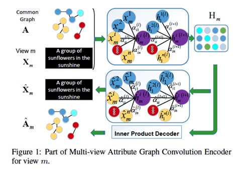multi view attribute graph convolution networks for clustering ijcai 20