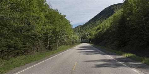 加拿大新斯科舍省布雷顿角岛布雷顿角高地公园小埃唐山旁树木间高清图片下载 正版图片 摄图网