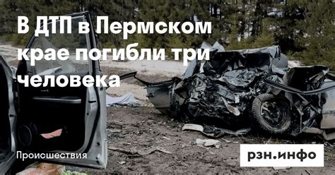 В ДТП в Пермском крае погибли три человека — Новости — город Рязань на