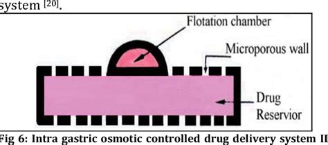 Figure 6 From A Review On Floating Drug Delivery System Semantic Scholar
