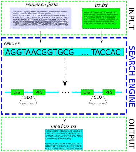 Ijms Free Full Text New Genetic Markers Differentiating Ipec And