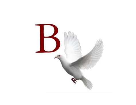 Annie Maude Dorsey Obituary 2024 North Augusta Sc G L