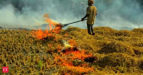 Sc Rejects Plea To Direct Punjab And Haryana Govts To Control Stubble