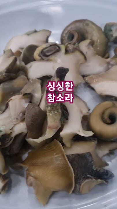 싱싱한 참소라 조옥성박사tv Youtube