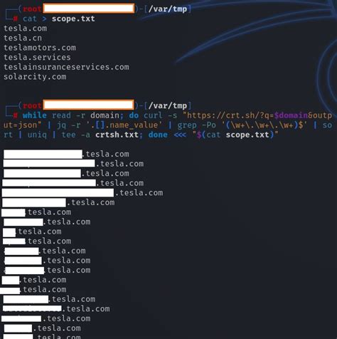 Bash Command To Grab Scope Sub Domains From Crtsh Mohamed Mousa Posted On The Topic Linkedin