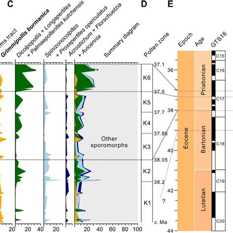 A Details Of Sedimentary Log Referring To Fig 1b B And D F Sequence Download Scientific