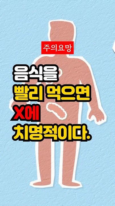 음식을 빨리먹으면 X에 치명적이다 중년이후 필수 건강 관리 꼭 알아야할 건강상식 건강상식 건강 중년건강 암 지방간