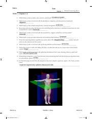 Study Guide For Human Anatomy And Physiology Chapters 1 2 Course Hero