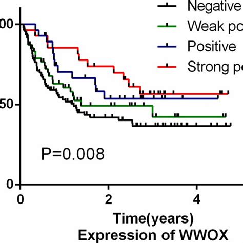 representative immunohistochemical staining of wwox vegf runx2 opn