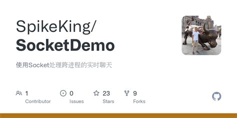 Github Spikekingsocketdemo 使用socket处理跨进程的实时聊天