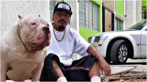 Asesinan A Daniel ‘tata Alarcón Entrenador De Perros Y Tiktoker En