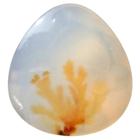 Agate Vs Quartz How To Tell Them Apart With Photos