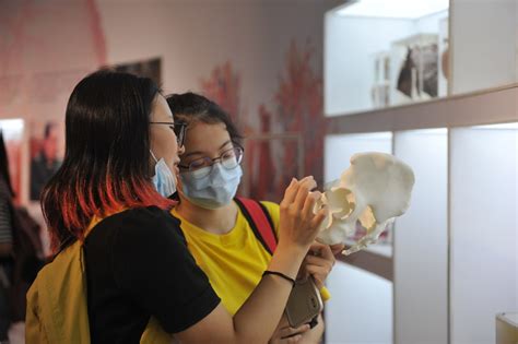 医学生开学第一课参观人体科学馆进行生命教育 南方医科大学