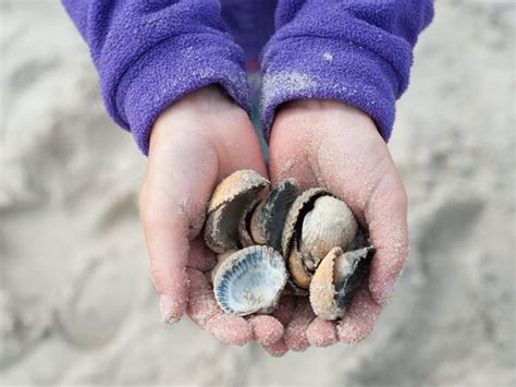 The 10 Most Popular Programming Languages According To Github