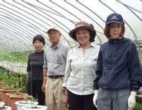 幻の花ムラサキ 江戸むらさき復活の取り組み 檜原村で asacoco アサココ