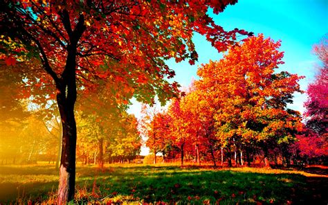 Fall Wallpapers Hd Pixelstalk Net