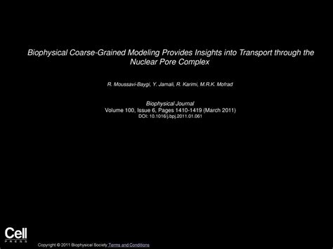 Biophysical Coarse Grained Modeling Provides Insights Into Transport