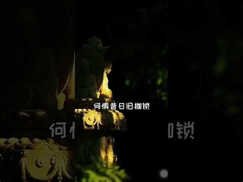 心归无我金句良言记得时刻提醒自已 佛教 佛祖 修心修行 修行 感恩 南无阿弥陀佛 慈悲 阿弥陀佛 zen fyp