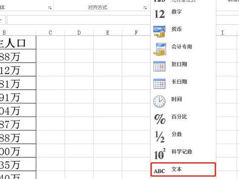 如何设置excel文本格式 九雷办公官网