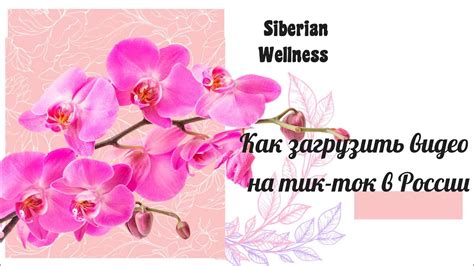 Как загрузить видео на тик ток в России Youtube