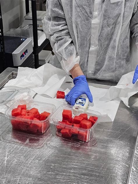 르포 조각 수박 인기 뒤엔···머리카락 한 올 허용 않은 칼 같은 관리 있었다 New And Good