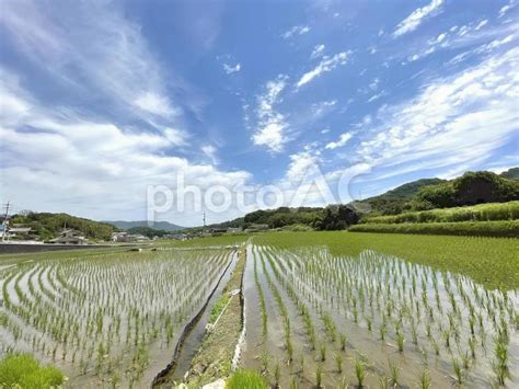 【風景写真】田植え後の田園風景 No 27935803｜写真素材なら「写真ac」無料（フリー）ダウンロードok