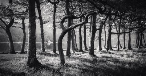 Stuart Mcglennon Stuartmcglennon Foundation