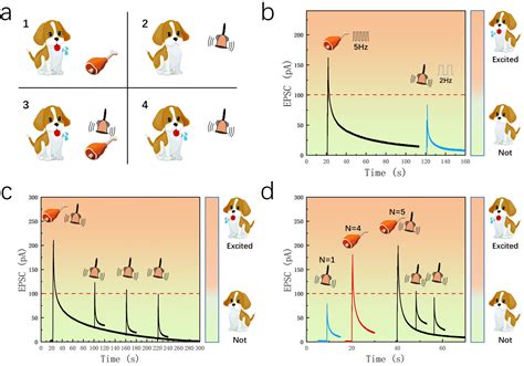 Optoelectronic Synapses Based On A Triple Cation Perovskite And Almoo