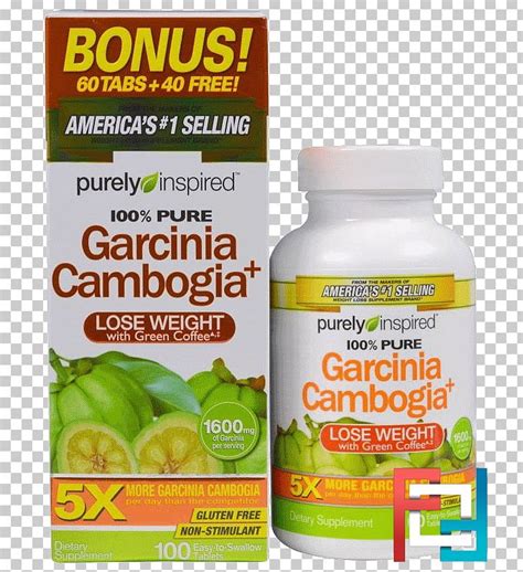 Garcinia Cambogia Dietary Supplement Hydroxycitric Acid Weight Loss