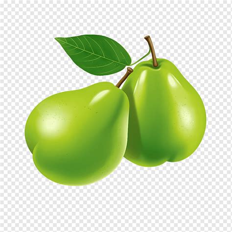 녹색 배 2개 익은 녹색 배 열매 Png Pngwing