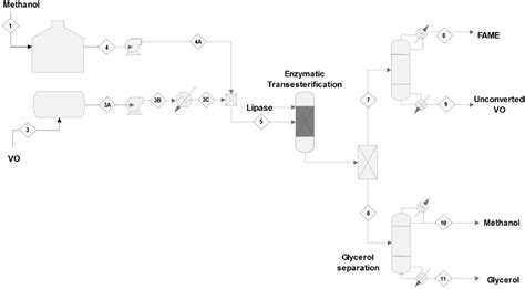 General Process Flowsheet Of Enzymatic Catalytic Transesterification