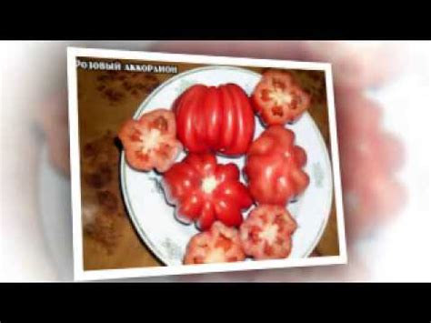 помидоры китайские семена - YouTube