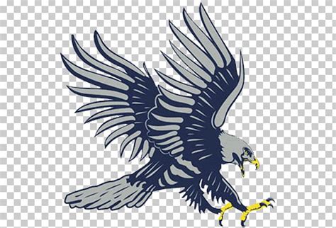Dickinson State University Dickinson State Blue Hawk Football Dickinson