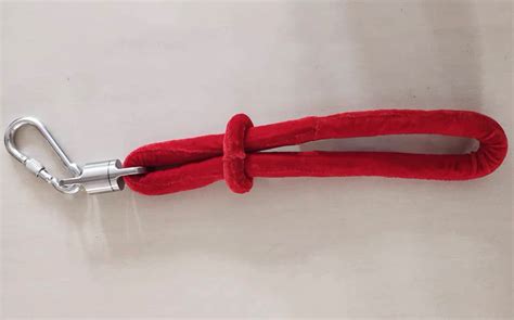 Aerial Strap With Swivel And Carabiner