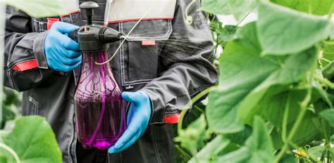 Nano Zinc Oxide For Agriculture IRPC INNOVATION CENTER