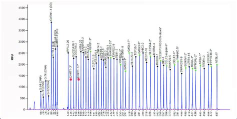 The Result From Sample 3a Analysed By Coffalyser Software Bigger Red