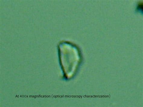 Graphene Oxide Dispersion 500 Ml 1gl