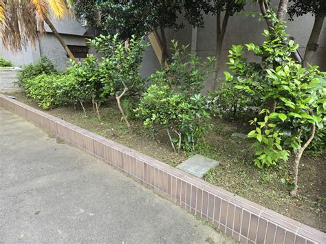 校園新聞內容