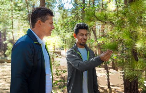 The Narconon Program