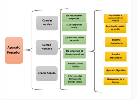 Fonética y Fonología by CYBERNET Issuu