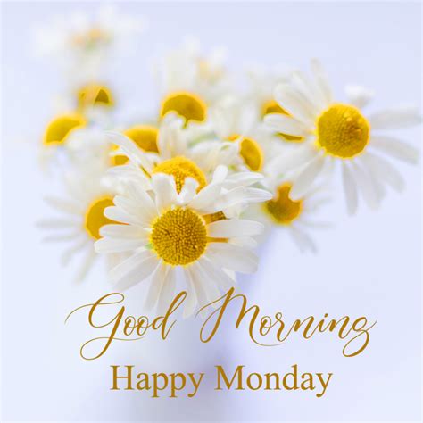 Happy Monday Images S And Memes